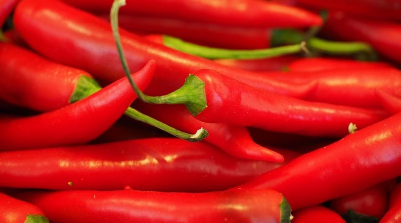 Les bienfaits de la capsaïcine - Therapeutes magazine