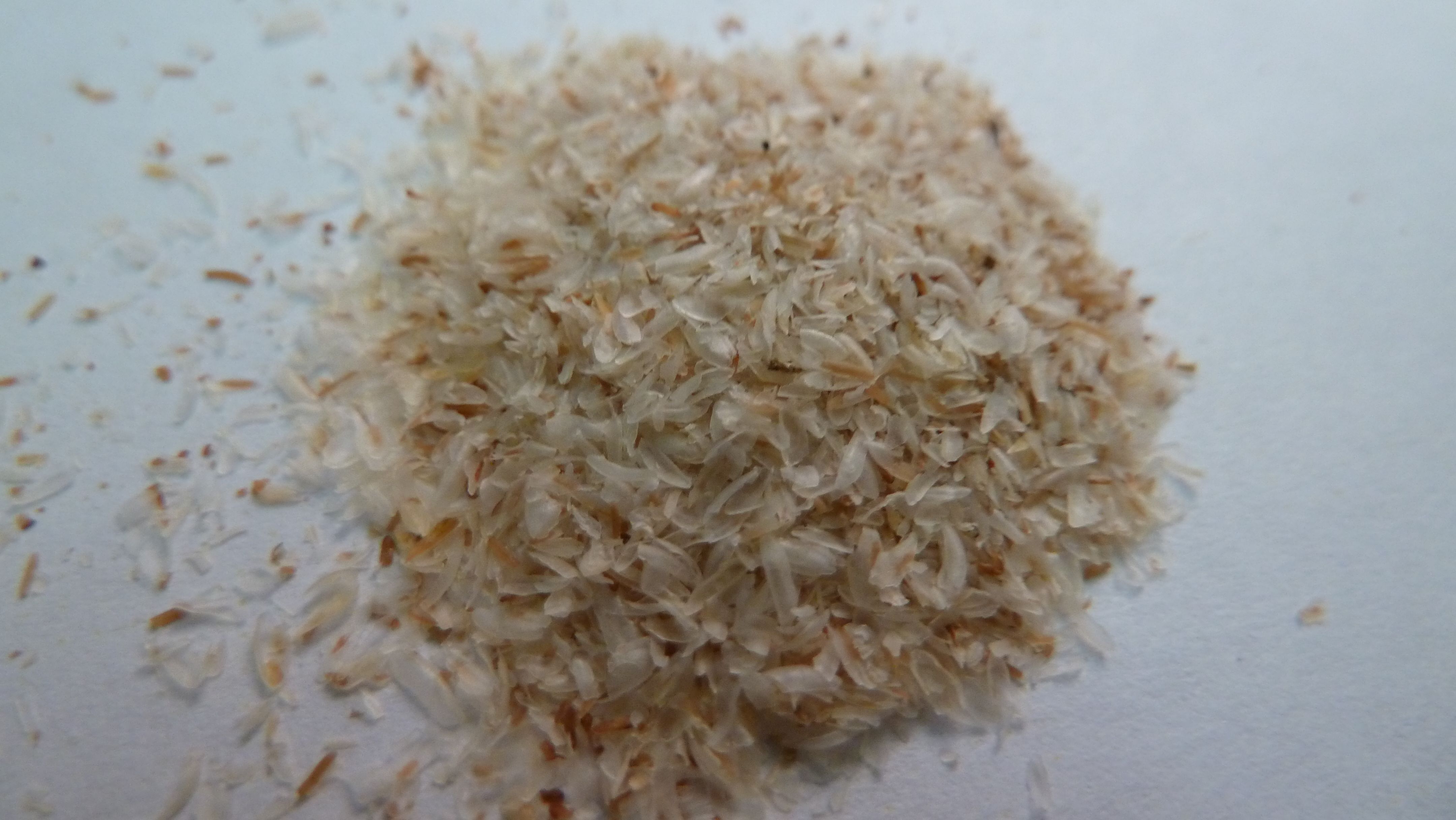 Les incroyables bienfaits du psyllium: avis sur cette plante indienne ...