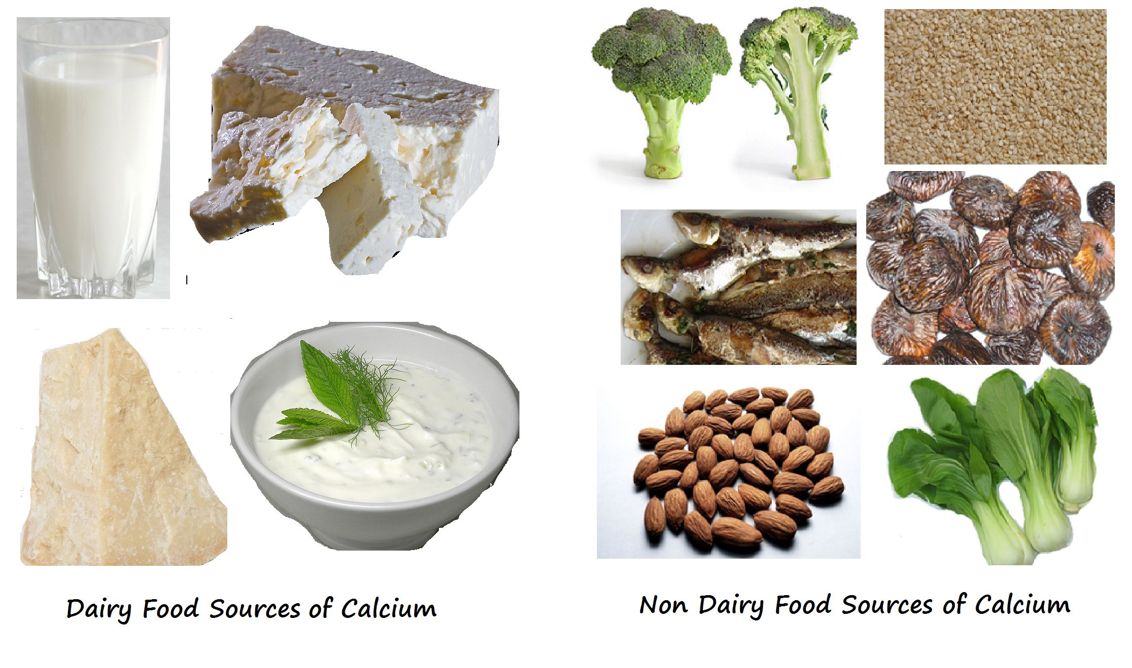 Calcium: Aliments et sources naturelles, Rôle et tout ce que vous devez ...