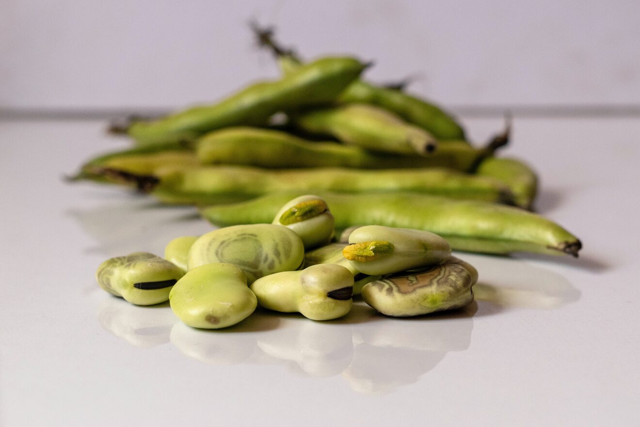 Bienfaits des fèves : un super-aliment pour une santé éclatante