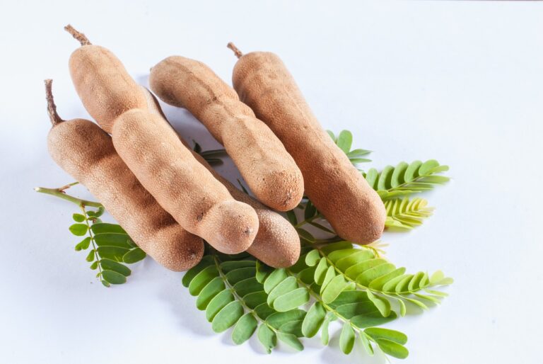 Tamarin : Bienfaits pour la santé et utilisations en cuisine